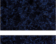 Flexicolor | Celestial Blue-White – Rowmark Australia